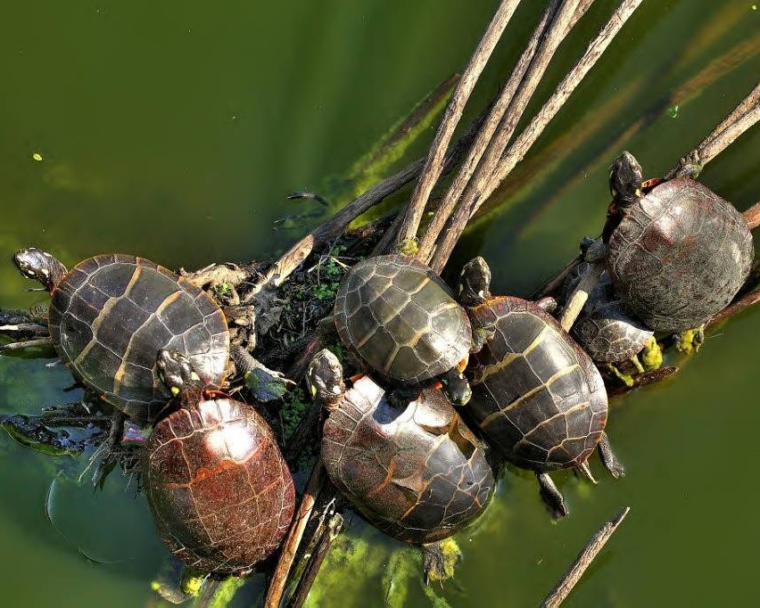 Fishing and Paddling within 1 Hour of Philadelphia - Explore PA Waters