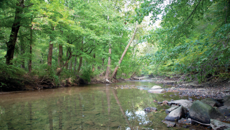 Exploring Philadelphia and Fishing Pennypack Creek - Explore PA Waters