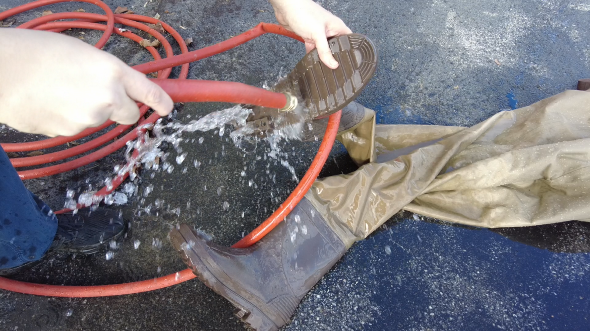 Help Protect Pennsylvania Waters from Aquatic Invasive Species ...